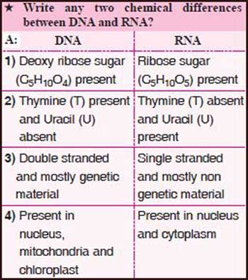 WHO DISCOVERED PCR | general